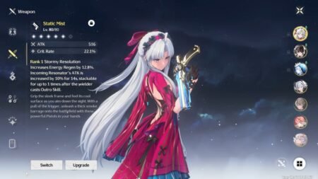 The Best Carlotta DPS Build For Wuthering Waves